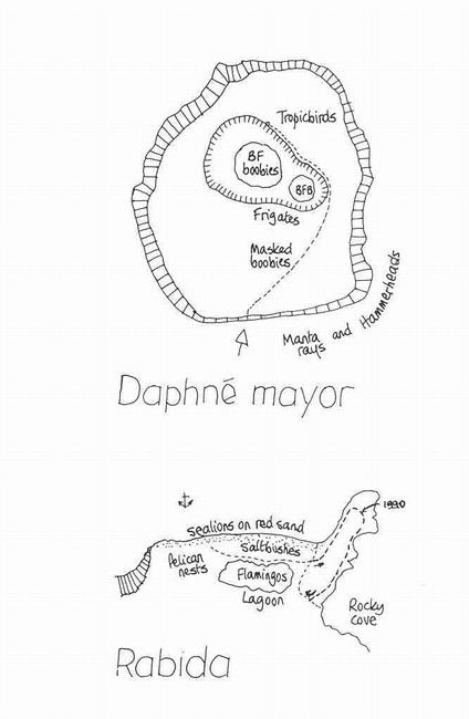 Galapagos 2000 - Santiago & Rabida - March 16